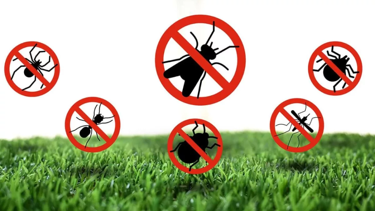 "Pasto Artificial: Solución Eficaz para el Control de Plagas